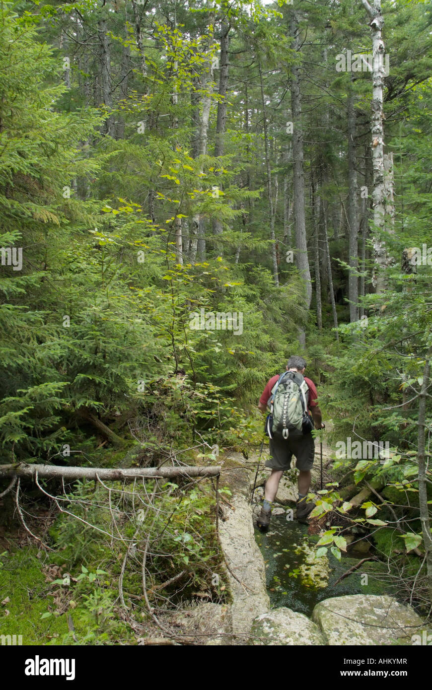 A hiker on Hancock Notch Trail during the summer months Located in the ...