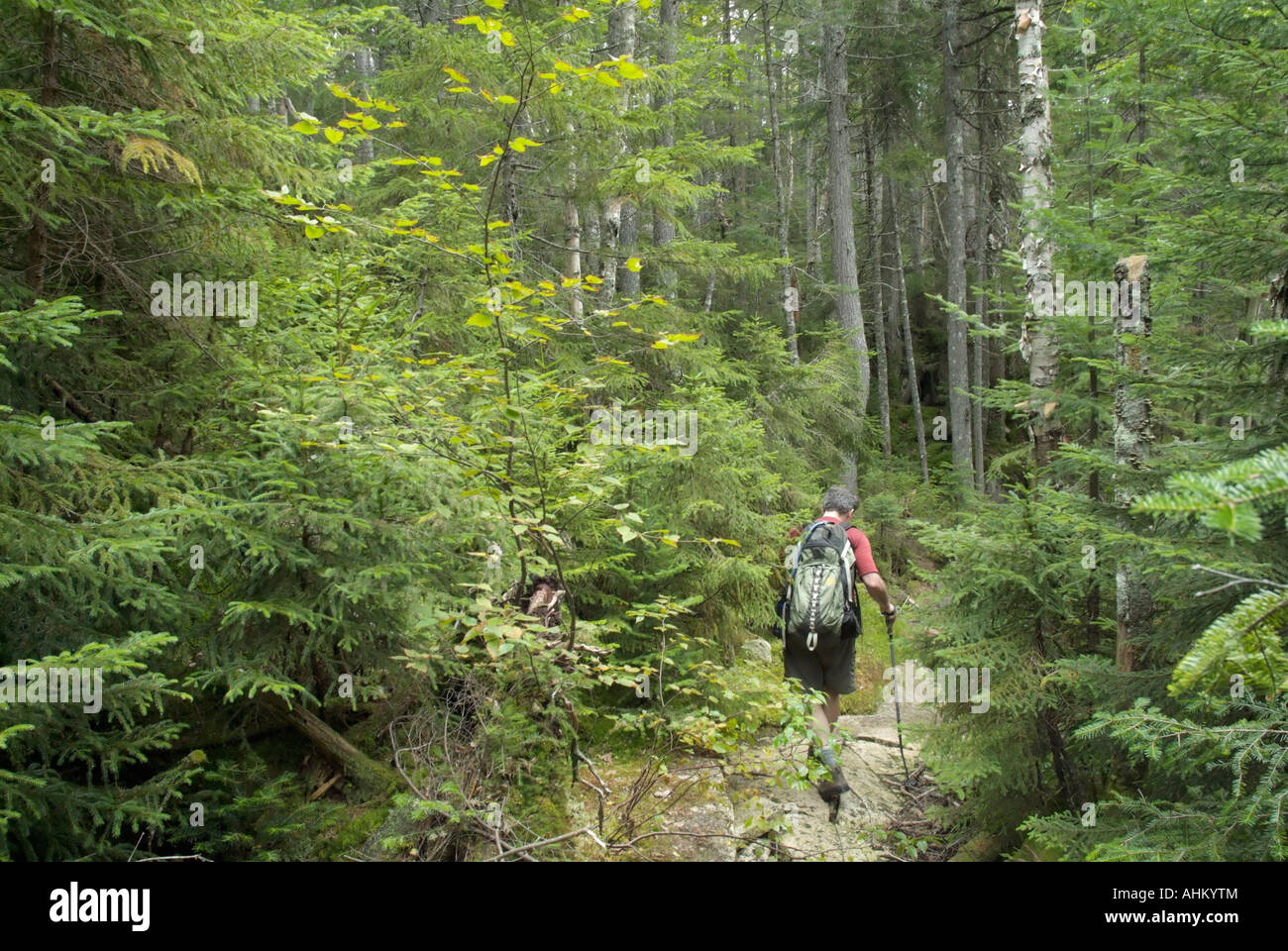 A hiker on Hancock Notch Trail during the summer months Located in the ...