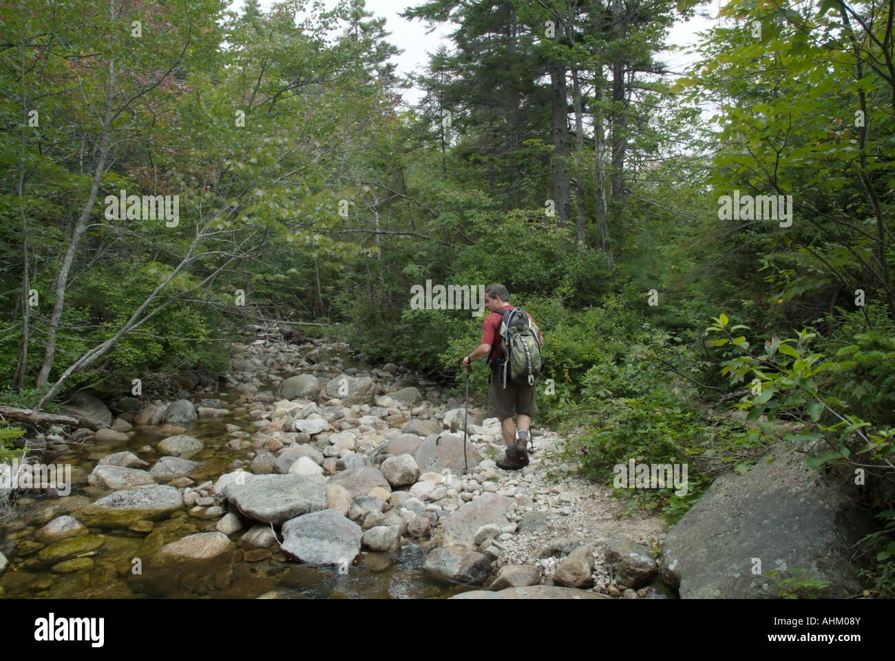 A hiker crosses brook on Hancock Notch Trail during the summer months ...