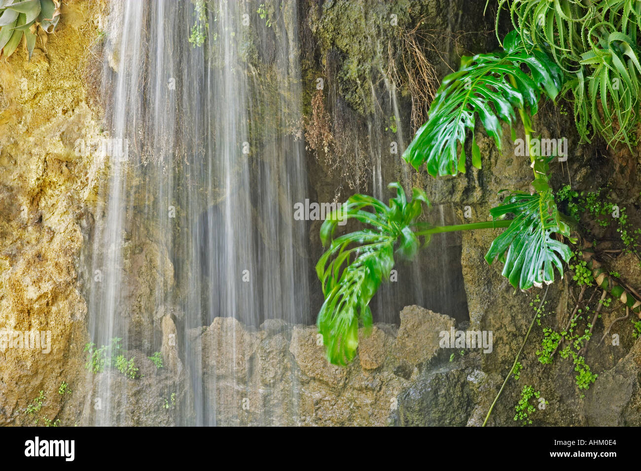 Cave waterfall and aquatic plant in Parque Genoves Cadiz Andalusia ...