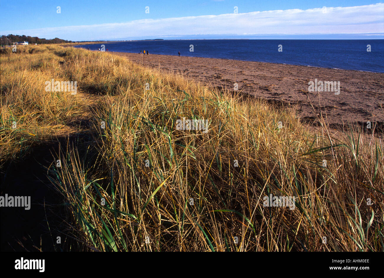 Broughty ferry beach hi-res stock photography and images - Alamy