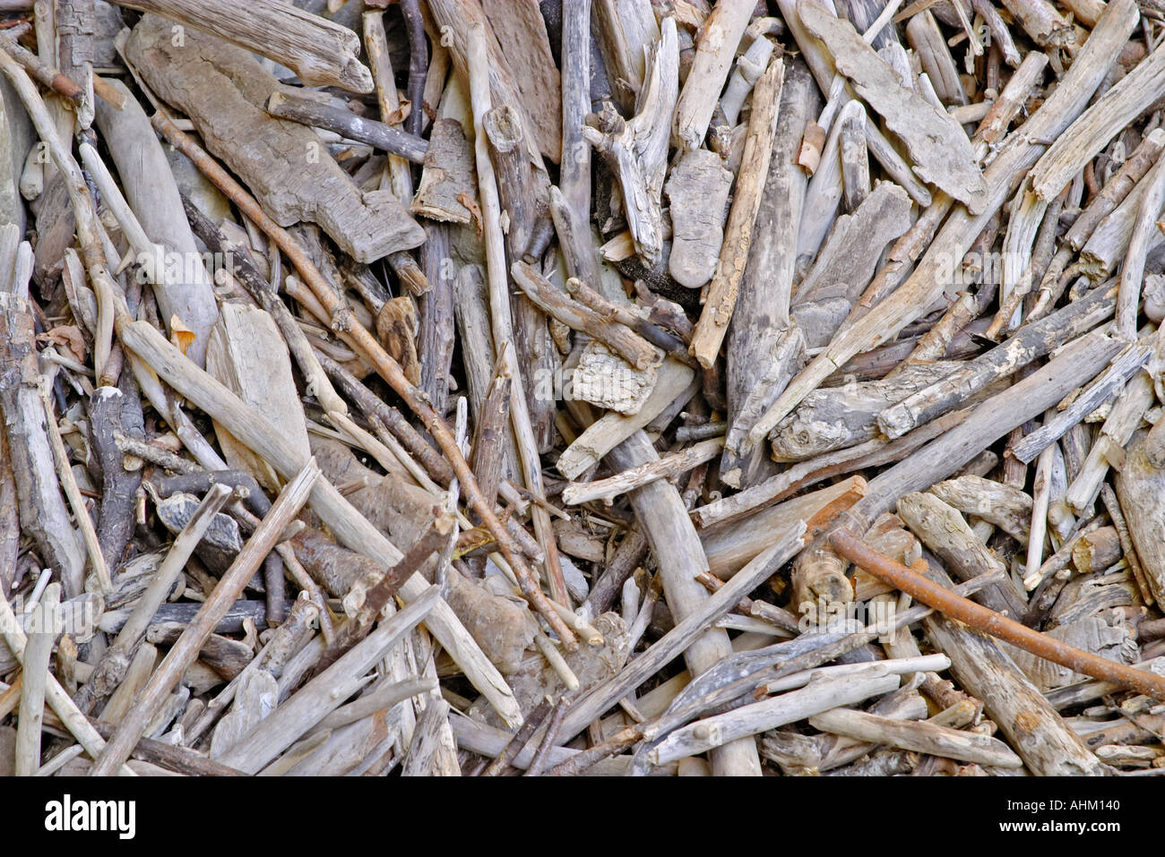 Withered wood sticks texture Valtrebbia Italy Stock Photo - Alamy