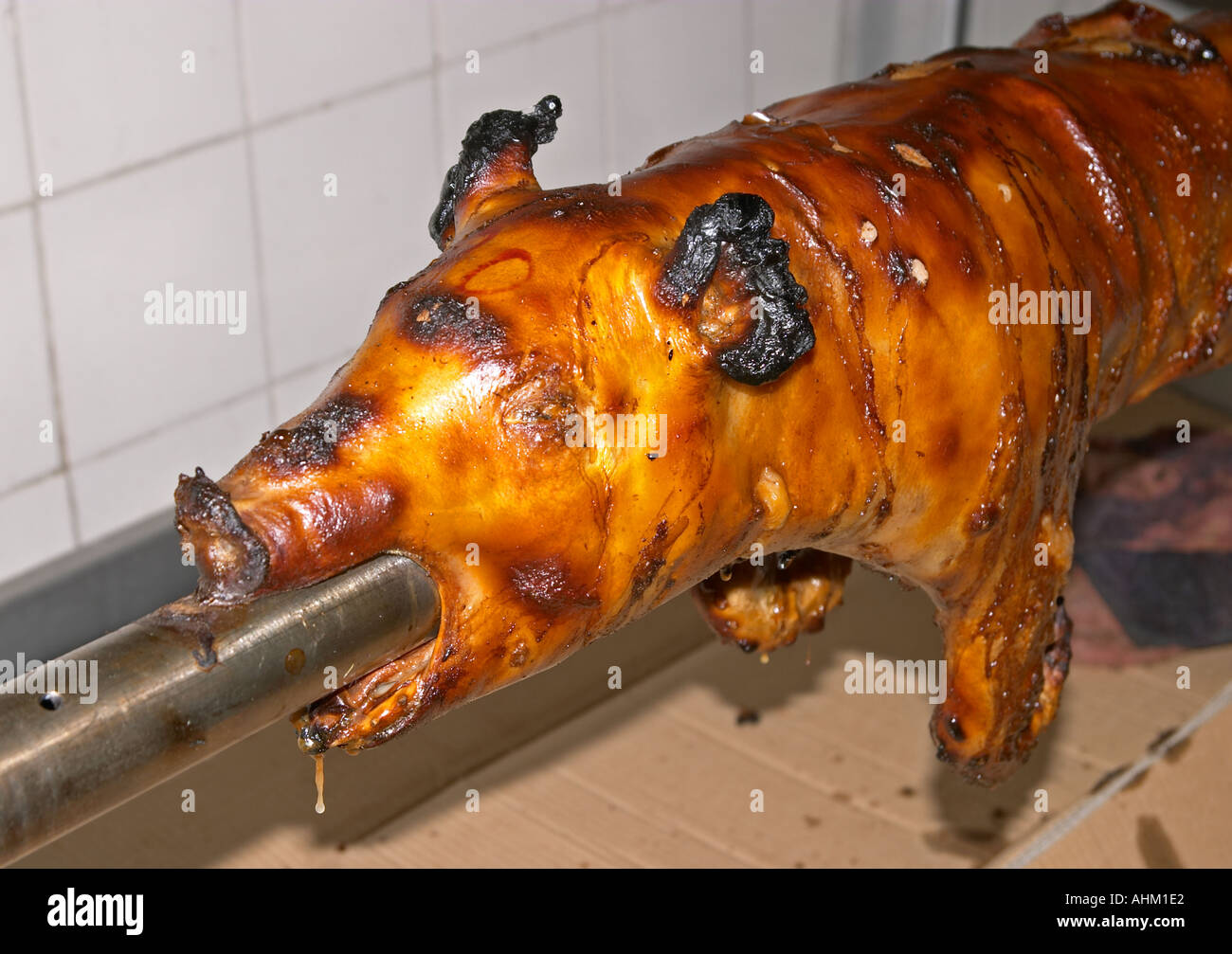 Portuguese pig hi-res stock photography and images - Alamy