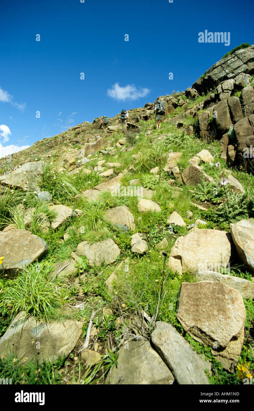 Hogsback south africa hi-res stock photography and images - Alamy