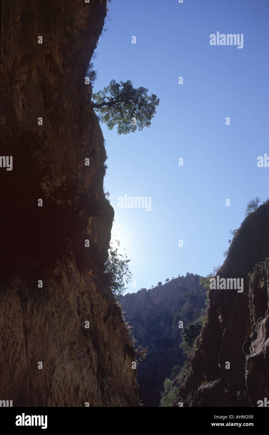 Sheer side hi-res stock photography and images - Alamy