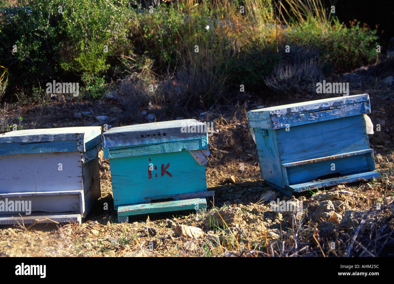 Blue beehives Turkey Stock Photo - Alamy