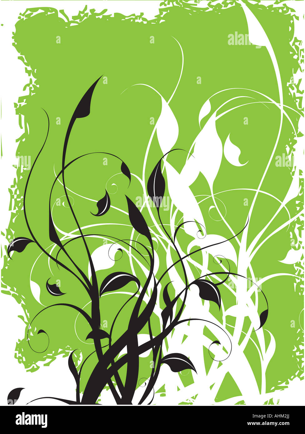 Floral illustration hi-res stock photography and images - Alamy