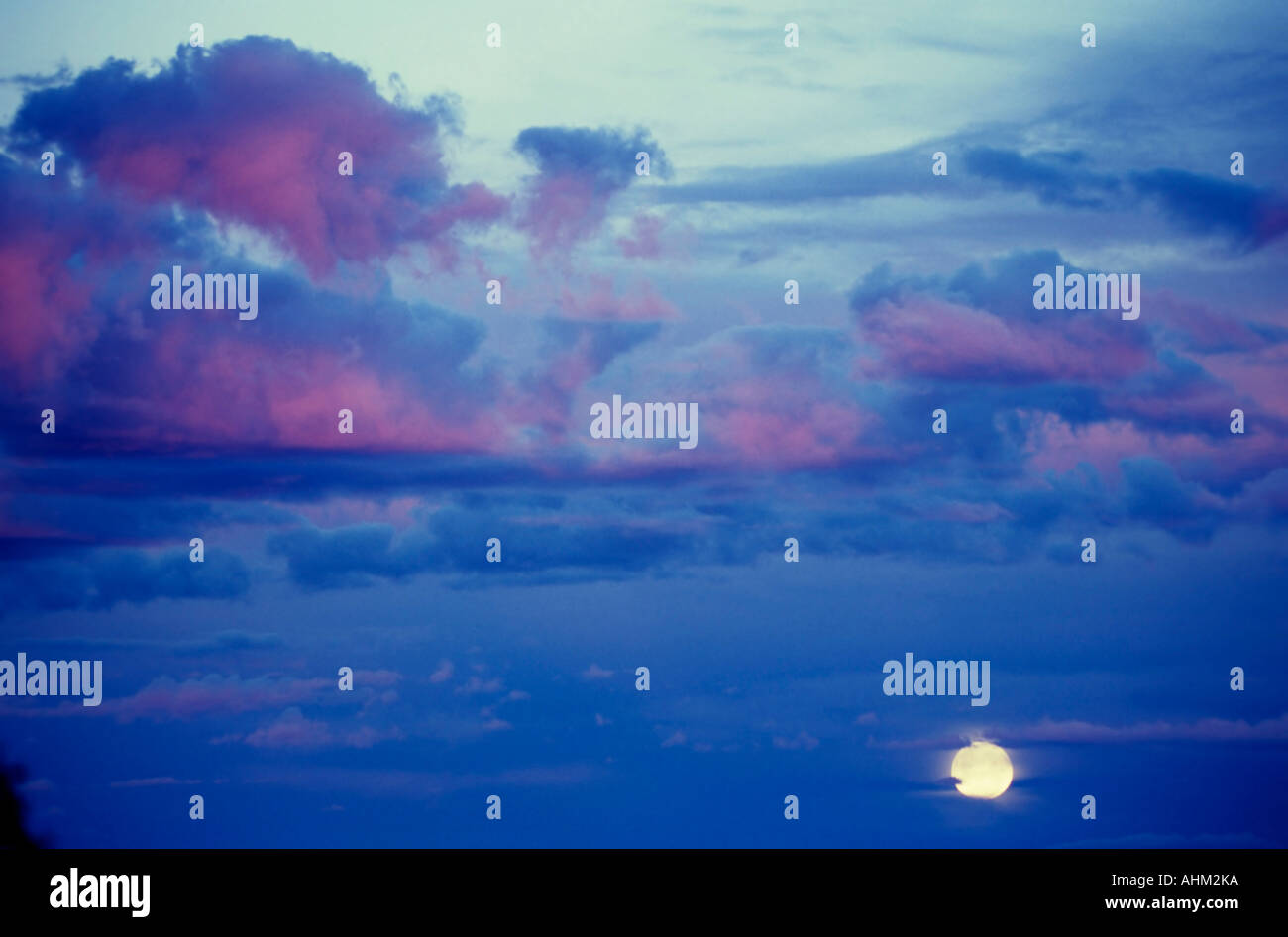Bad moon rising Stock Photo - Alamy