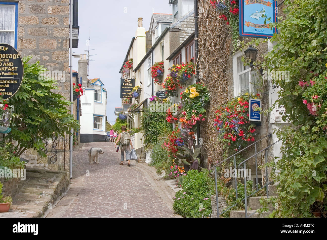 cobbled street in st ives cornwall Stock Photo - Alamy