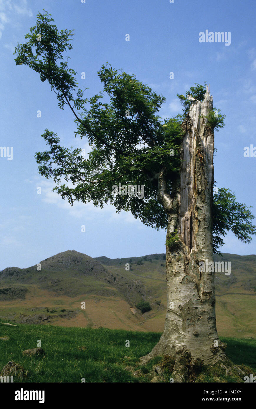 Lightning lake district hi-res stock photography and images - Alamy