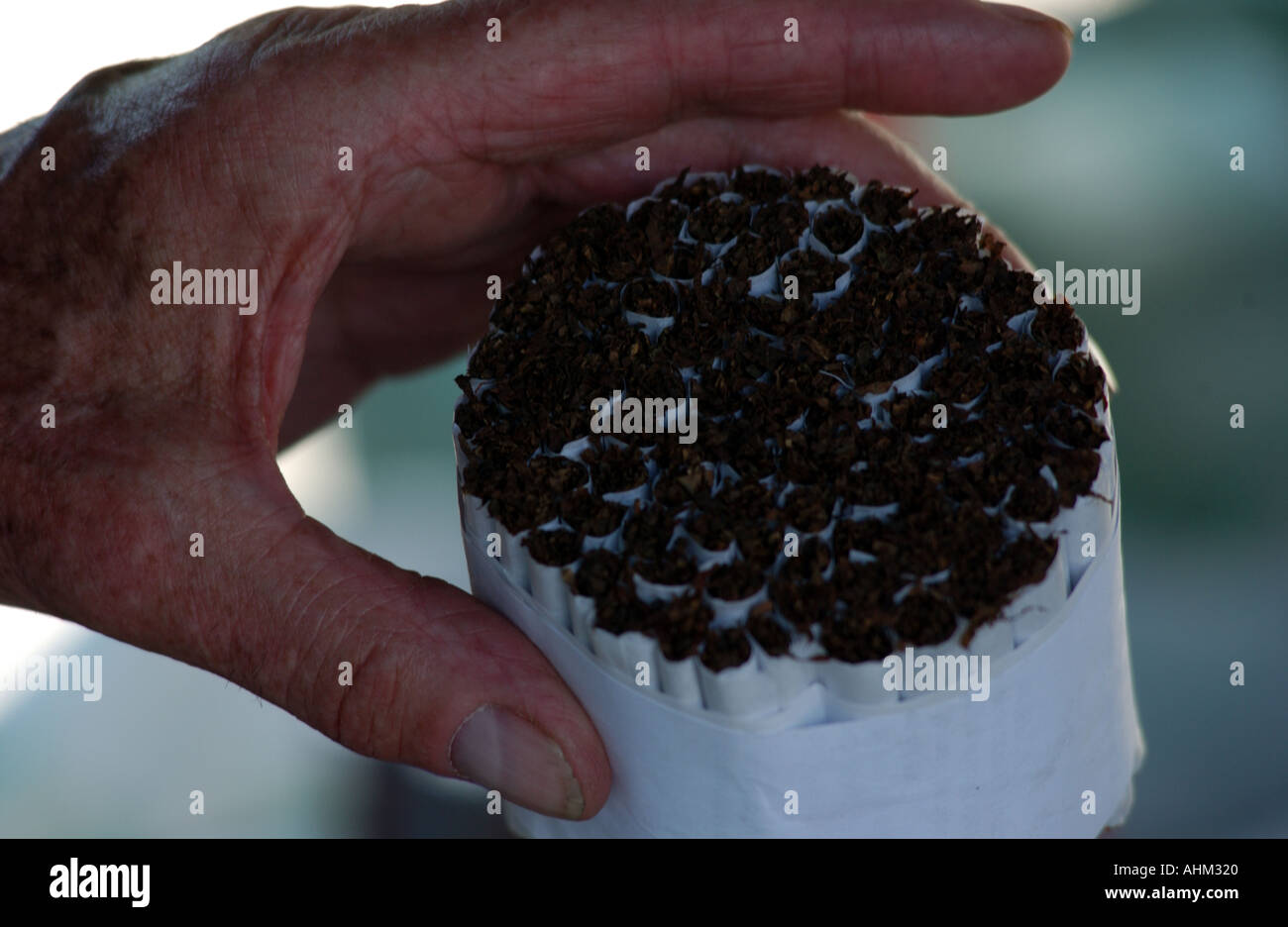 Mapacho hi-res stock photography and images - Alamy