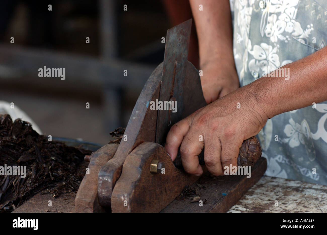 Hand rolling Mapacho tobacco Belen Iquitos peru Stock Photo - Alamy