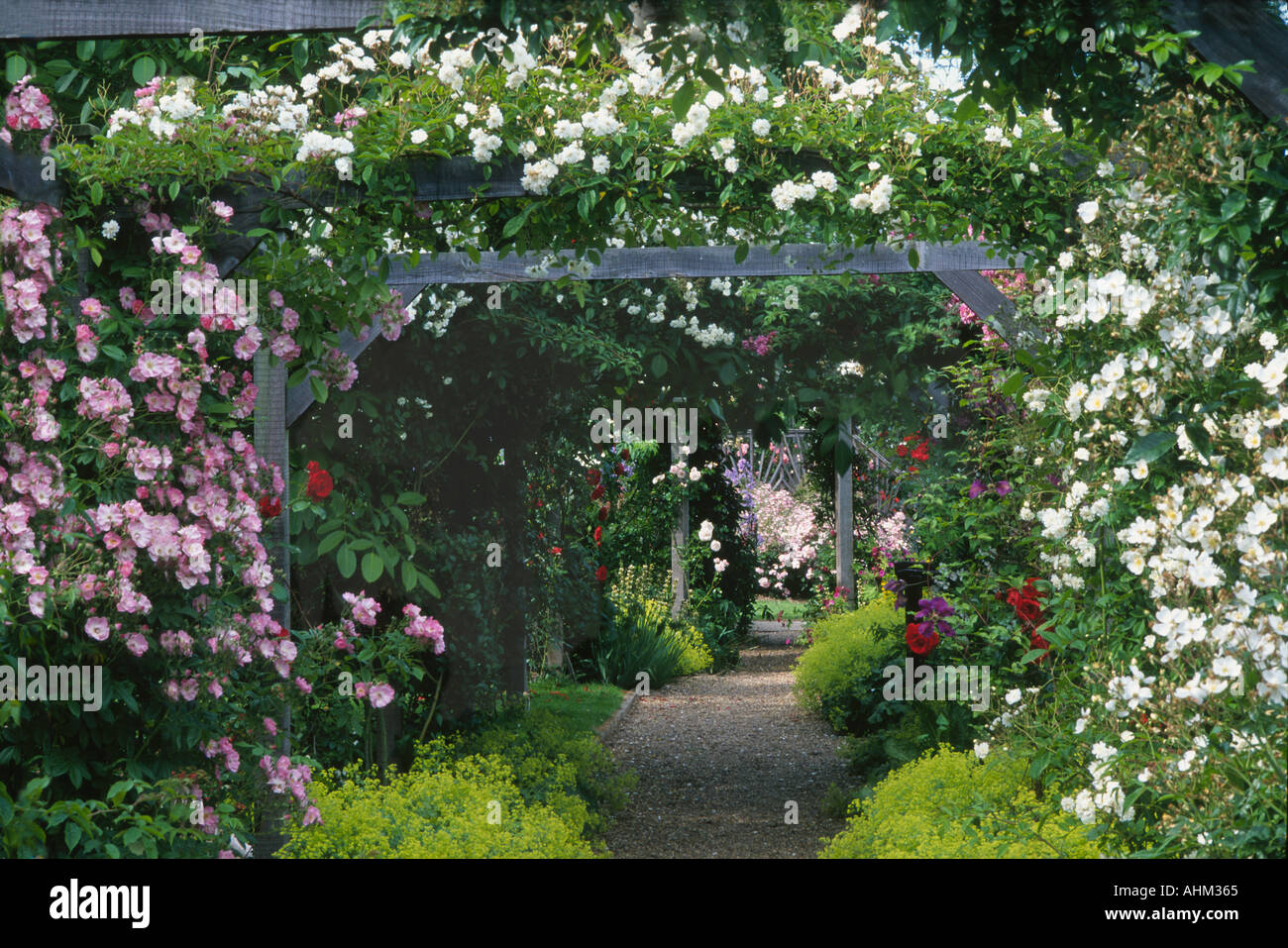 Mannington Hall Rose Garden Norfolk England UK Stock Photo - Alamy