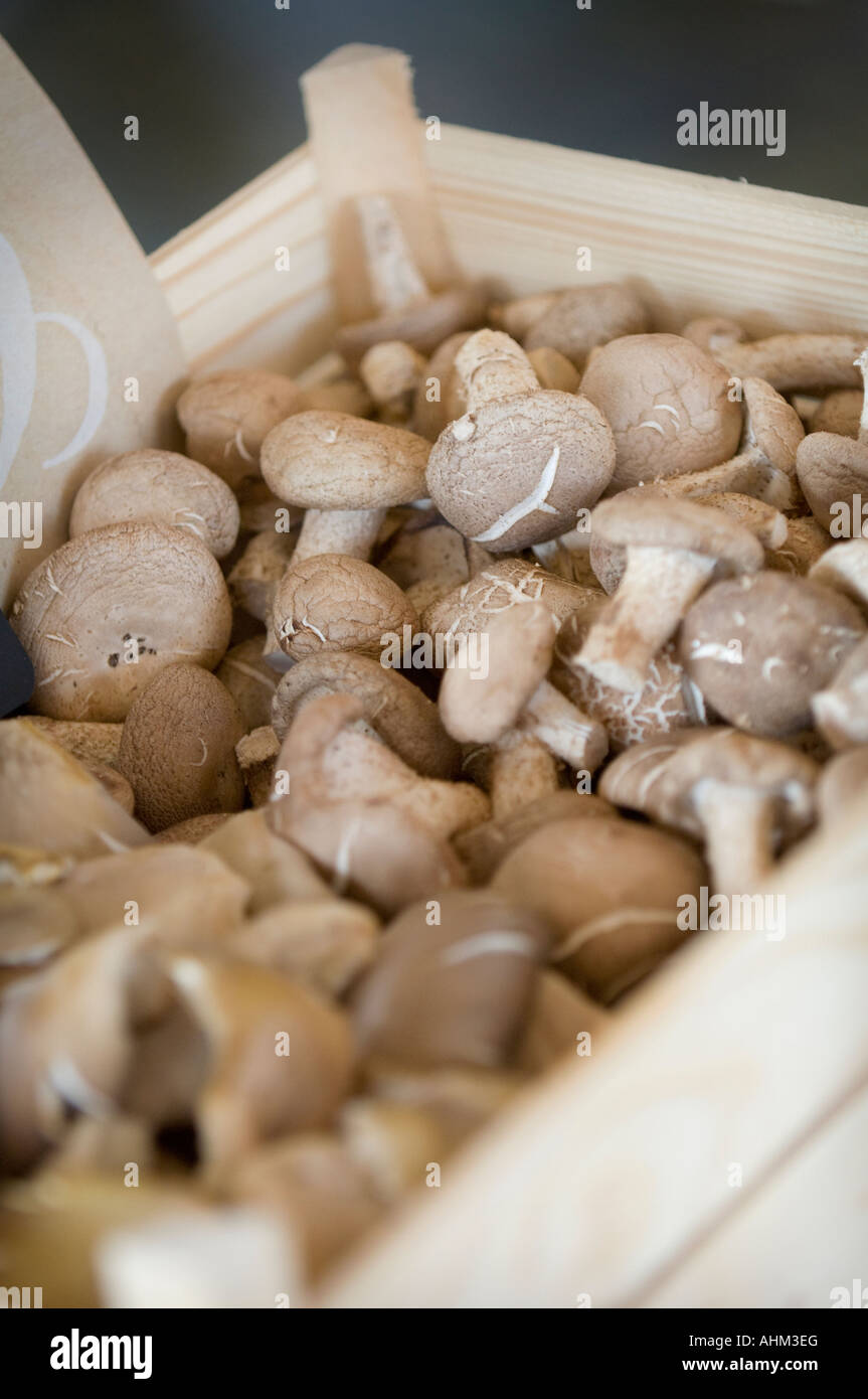 Wooden tray full fresh mushrooms hi-res stock photography and images ...
