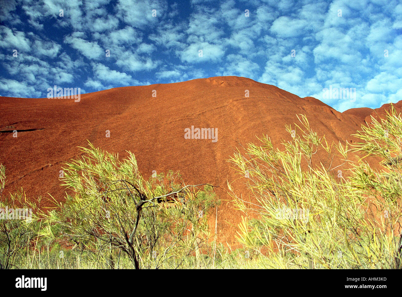 Uluru, Ayers Rock, Red Center, Outback, Australia, Mountain, Red, Green ...