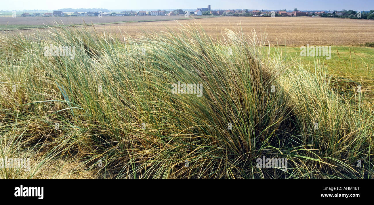 norfolk coast sea palling england uk Stock Photo - Alamy