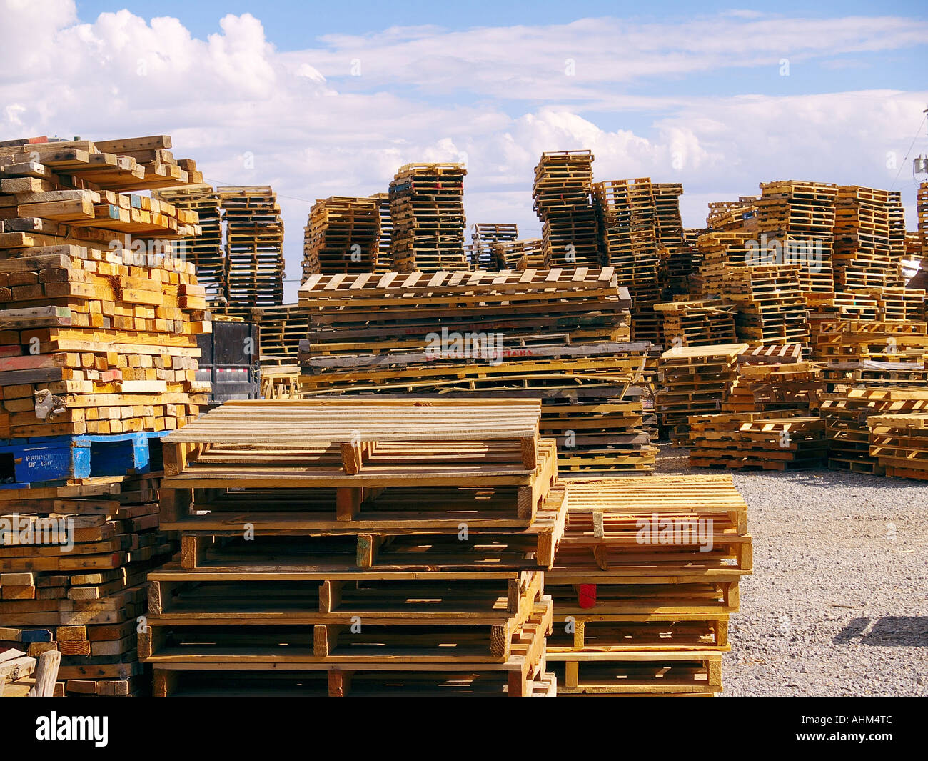 A forest of stacked wooden palettes in a stockyard beneath a cloudy ...