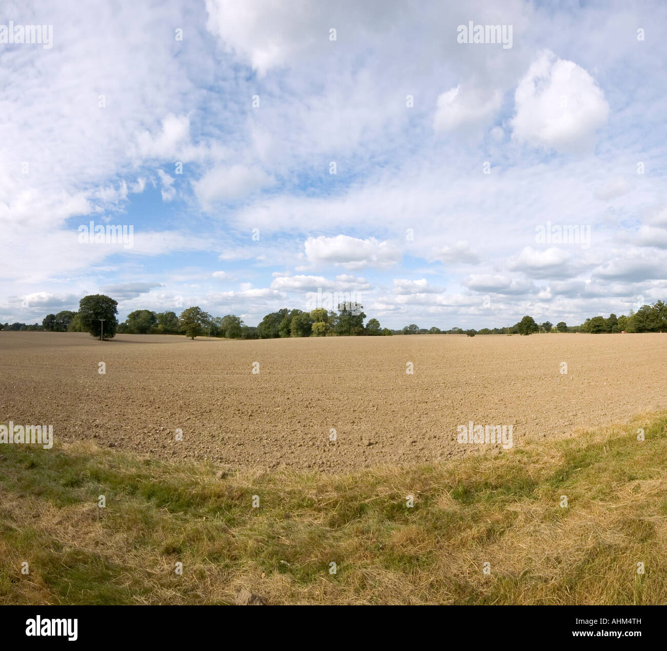 Landscape cleared wheat field hi-res stock photography and images - Alamy