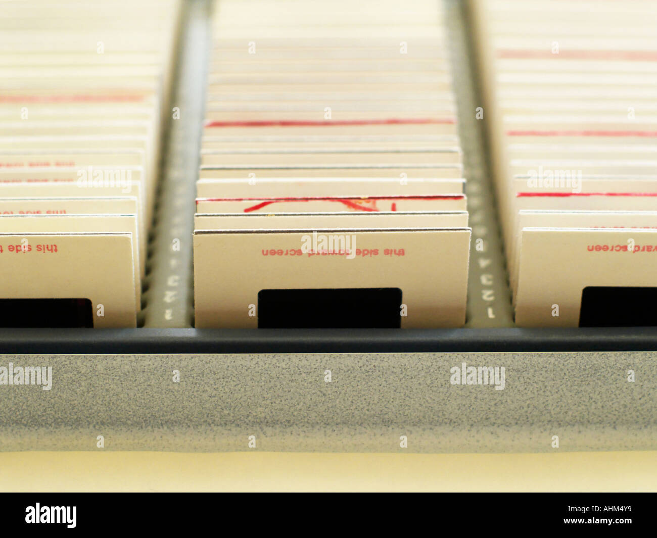 Rows and rows of photographic slides in a slide organizing tray, in ...