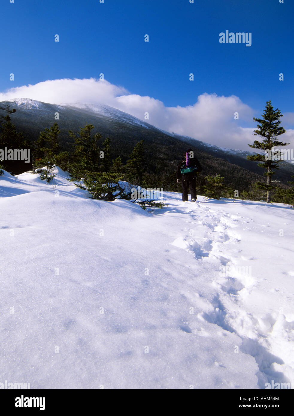 Appalachian Trail Hiking in the scenic landscape of the White Mountain ...