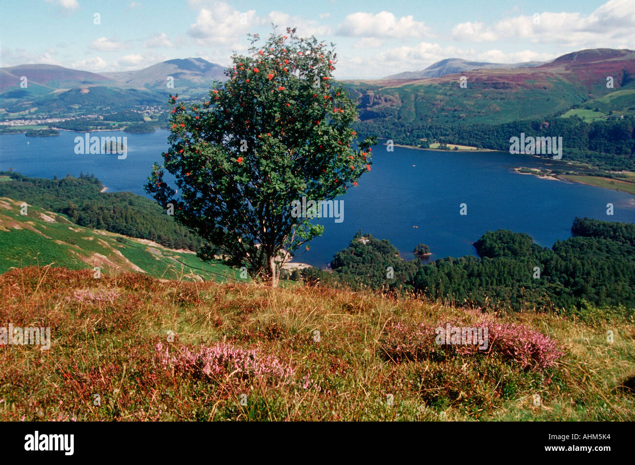 View from maiden moor hi-res stock photography and images - Alamy