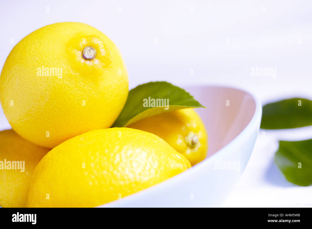 Lemons leaves on blue hi-res stock photography and images - Alamy