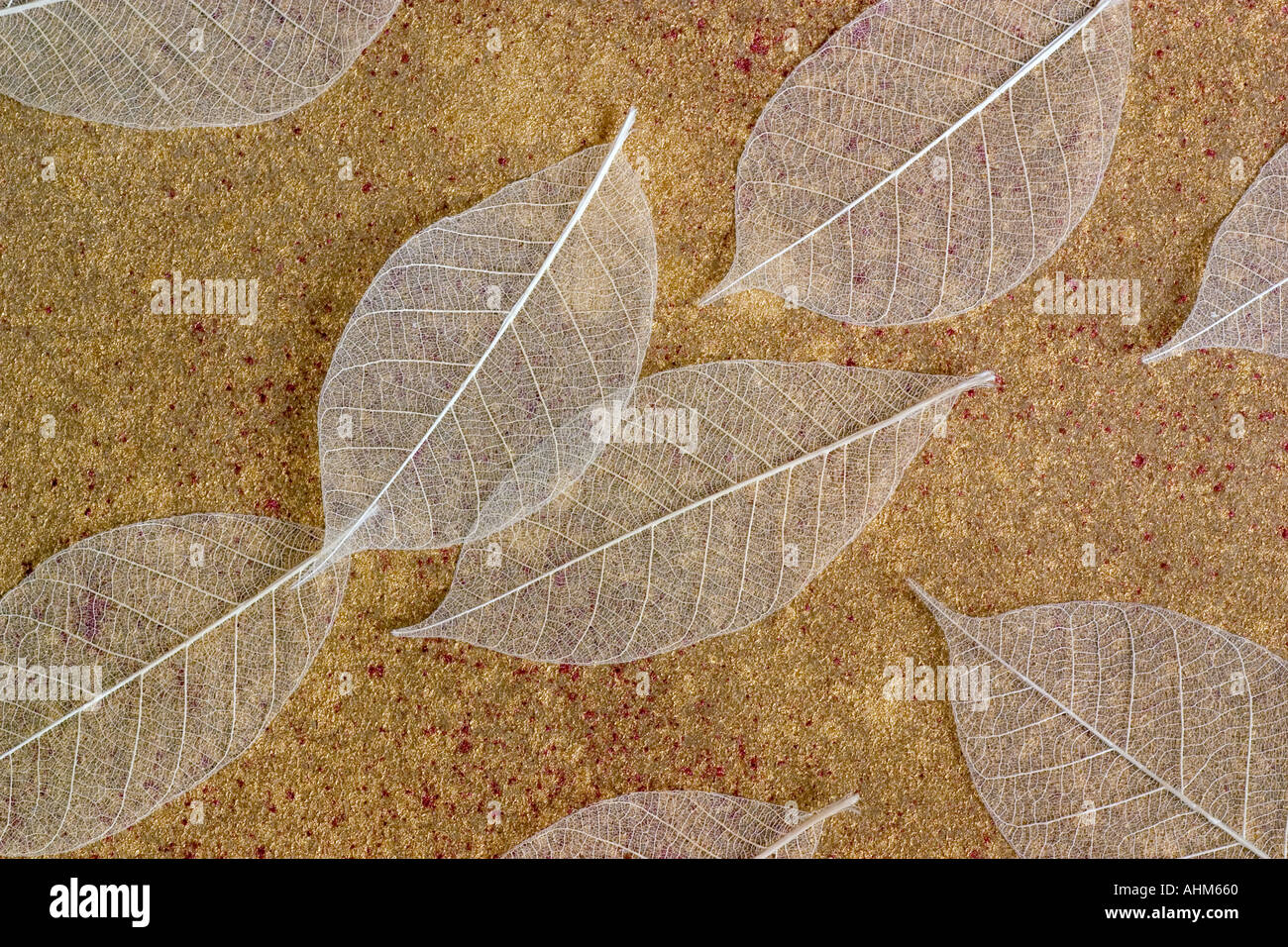 How to make skeleton leaves hi-res stock photography and images - Alamy