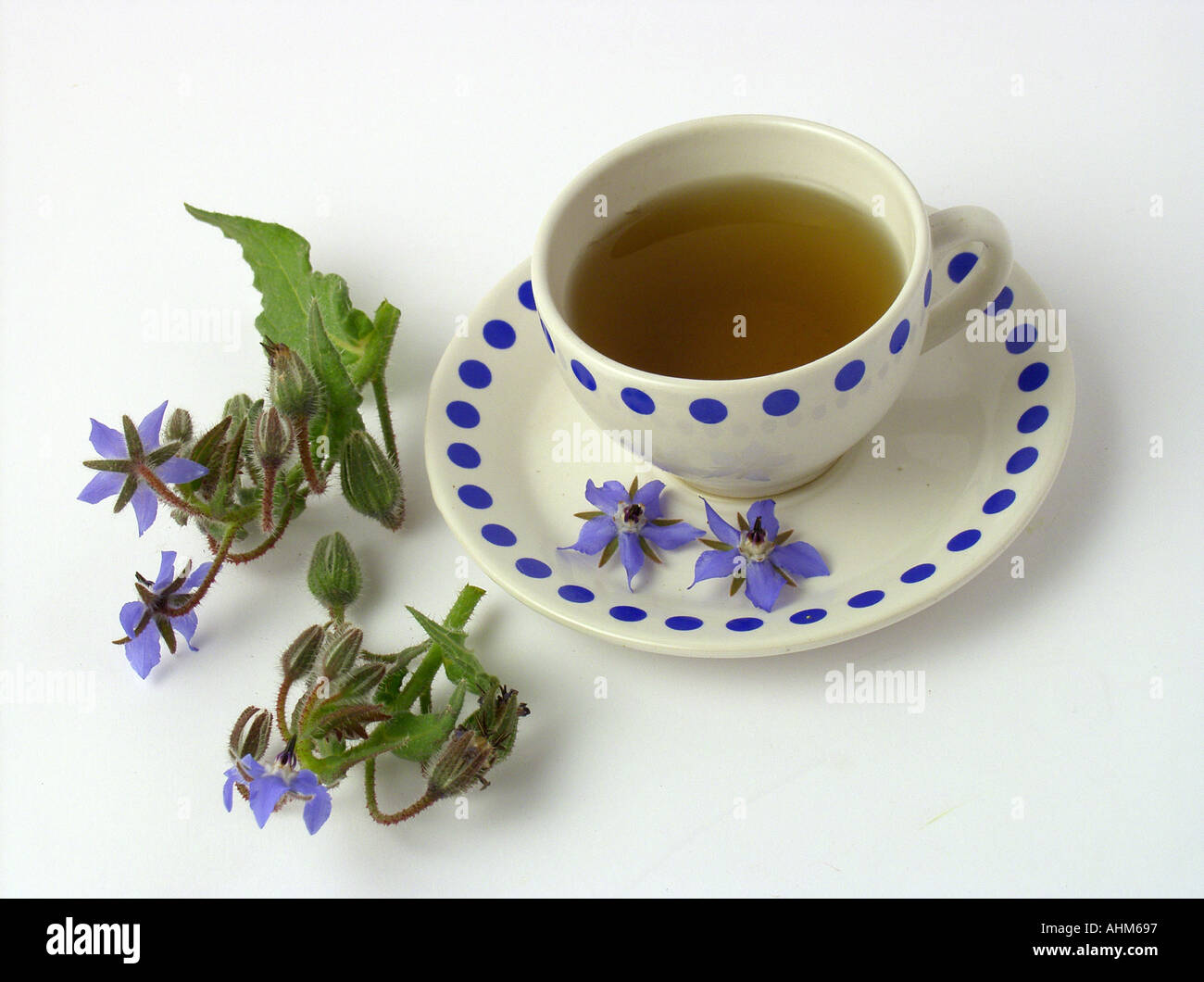 Cup of borage tea hi-res stock photography and images - Alamy