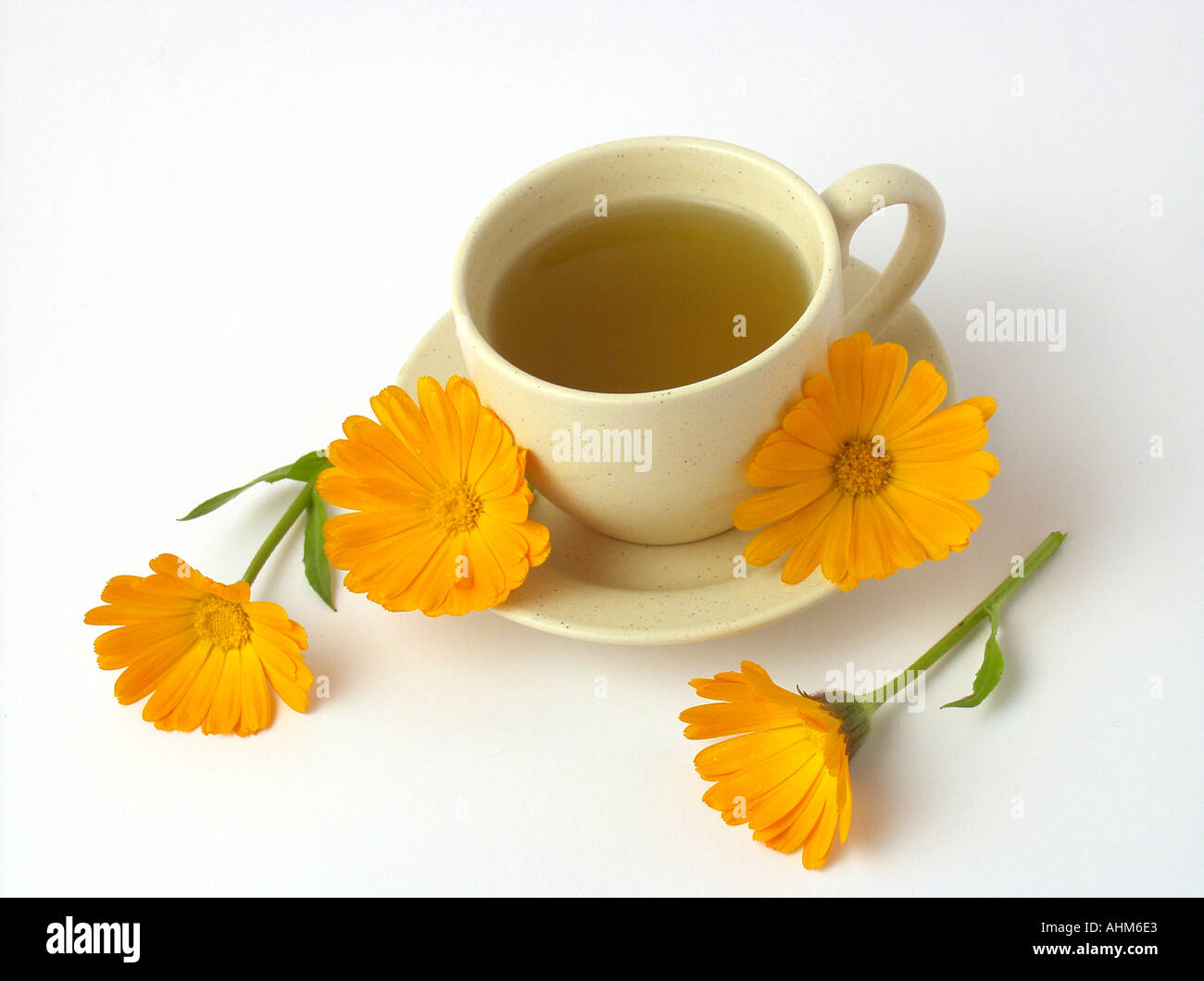 Marigolds infusion Calendula officinalis Stock Photo - Alamy