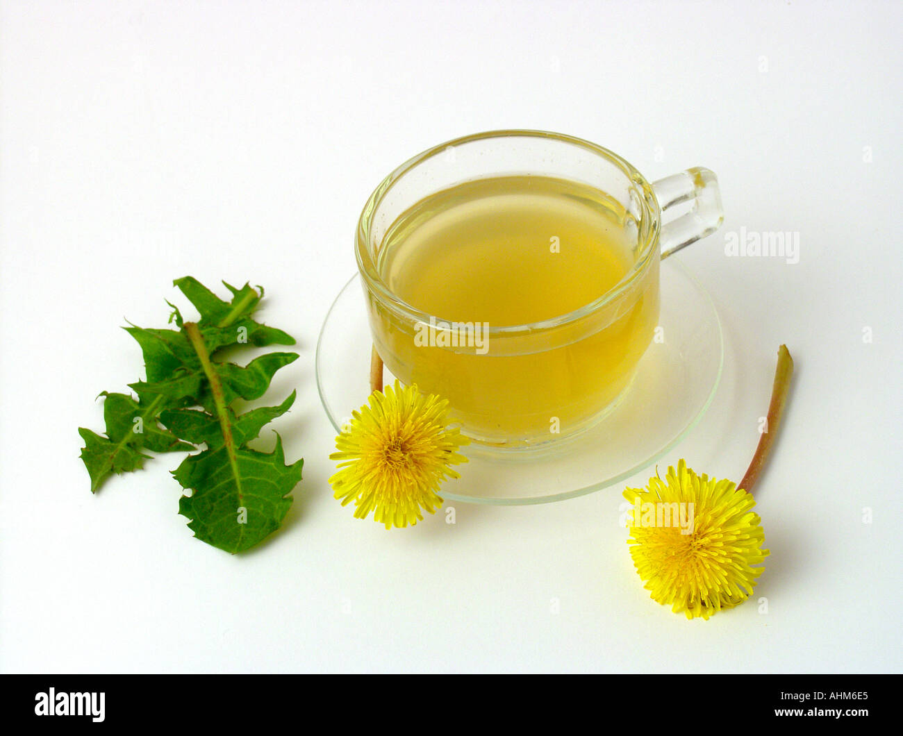 Dandelion infusion Taraxacum officinale Stock Photo - Alamy