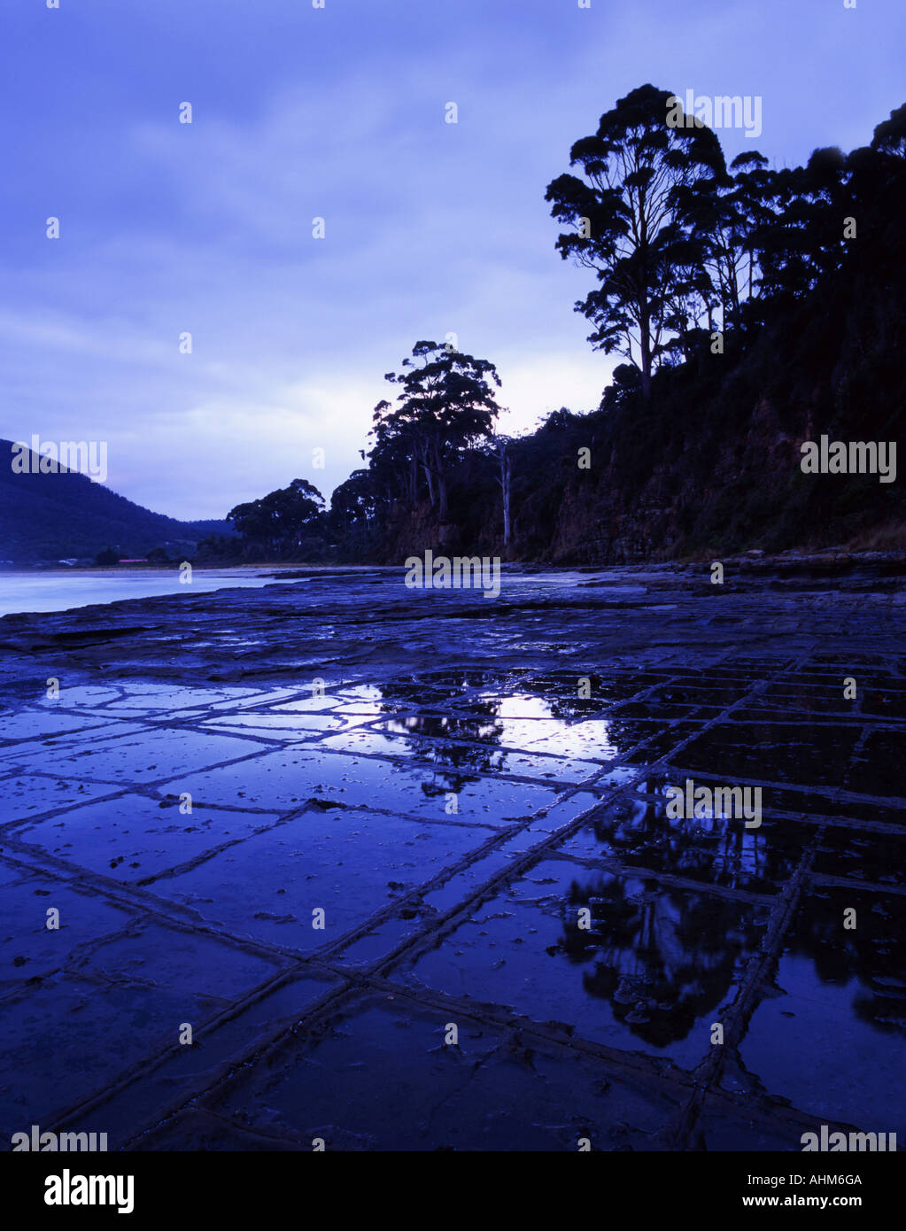 Tessellated rock pattern hi-res stock photography and images - Alamy