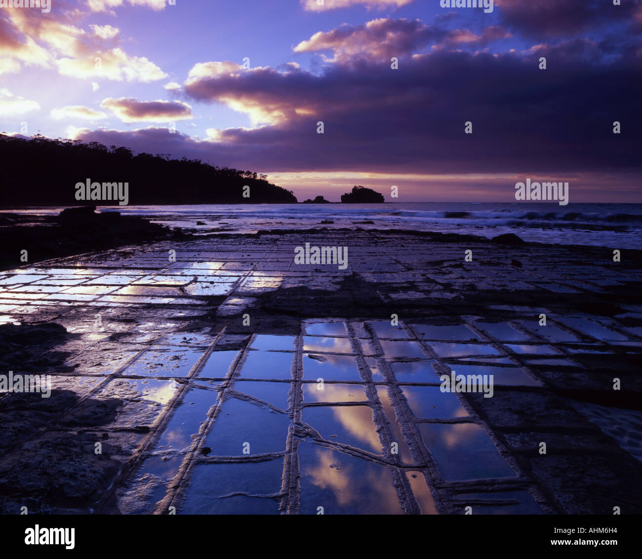 Tessellated rock pattern hi-res stock photography and images - Alamy