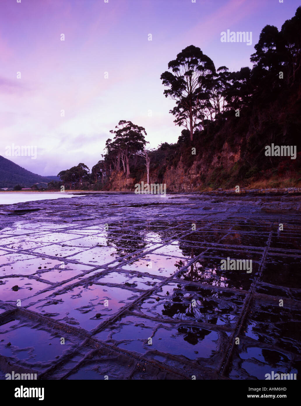 Tessellated Pavement at Eaglehawk Neck Tasmania Australia Stock Photo ...