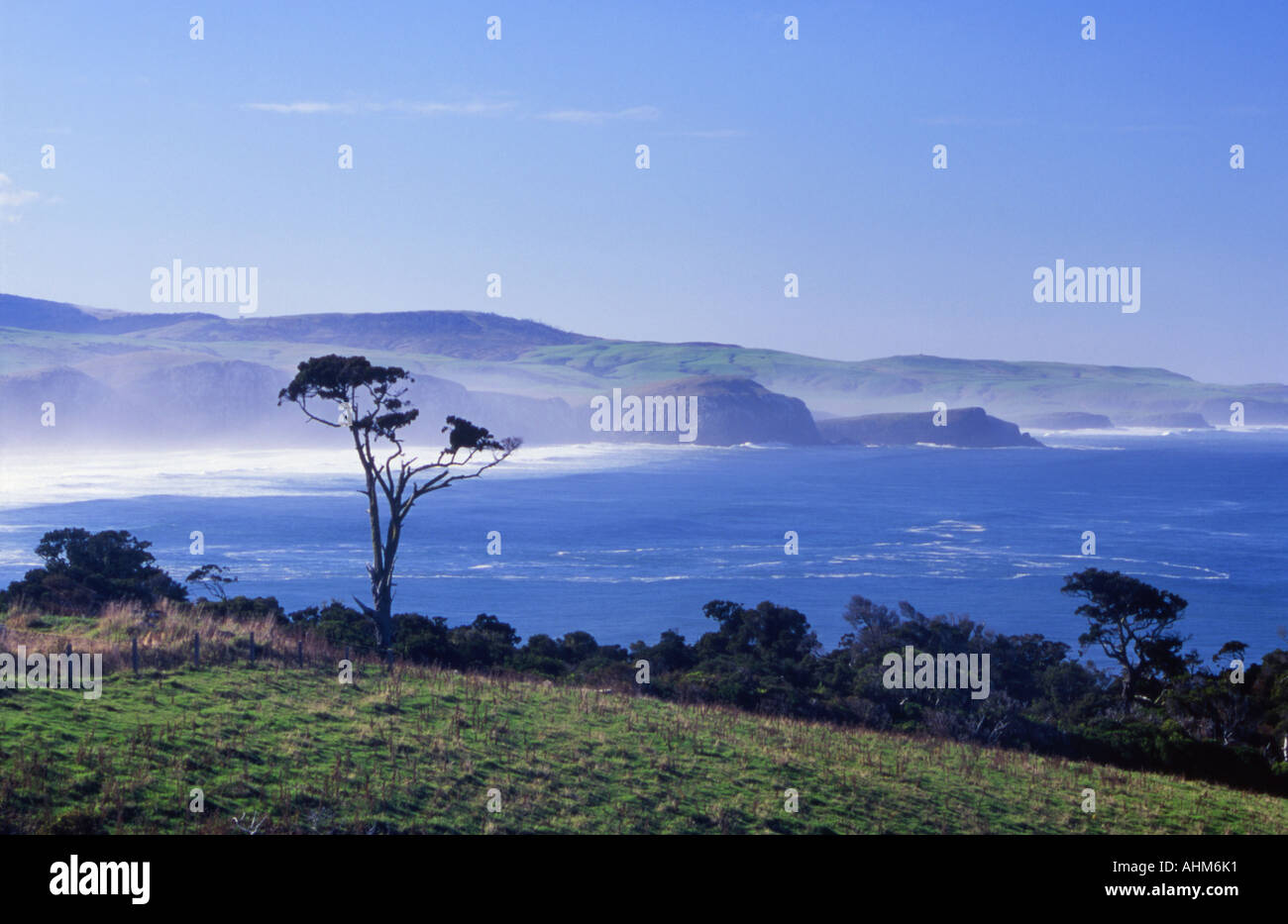 The Catlins Coast South Island New Zealand Stock Photo - Alamy