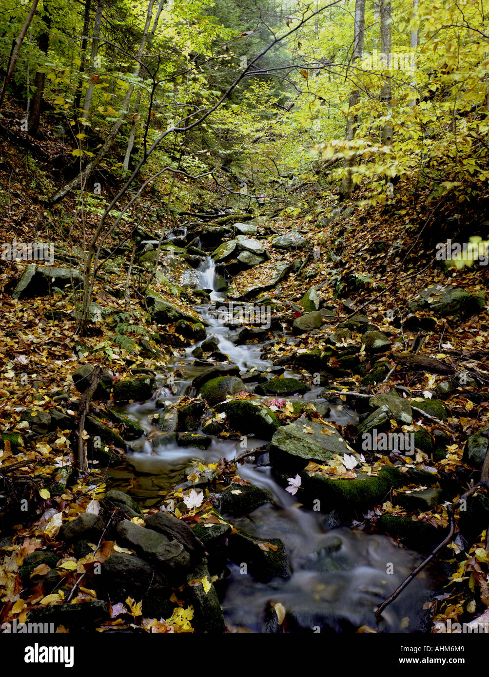 Cascading Stream, autumn, New York Stock Photo - Alamy