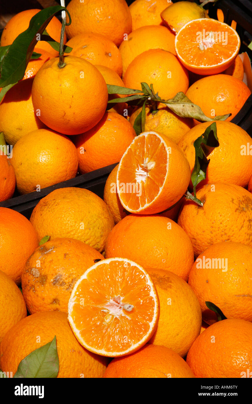 Oranges Sicily Stock Photos & Oranges Sicily Stock Images - Alamy