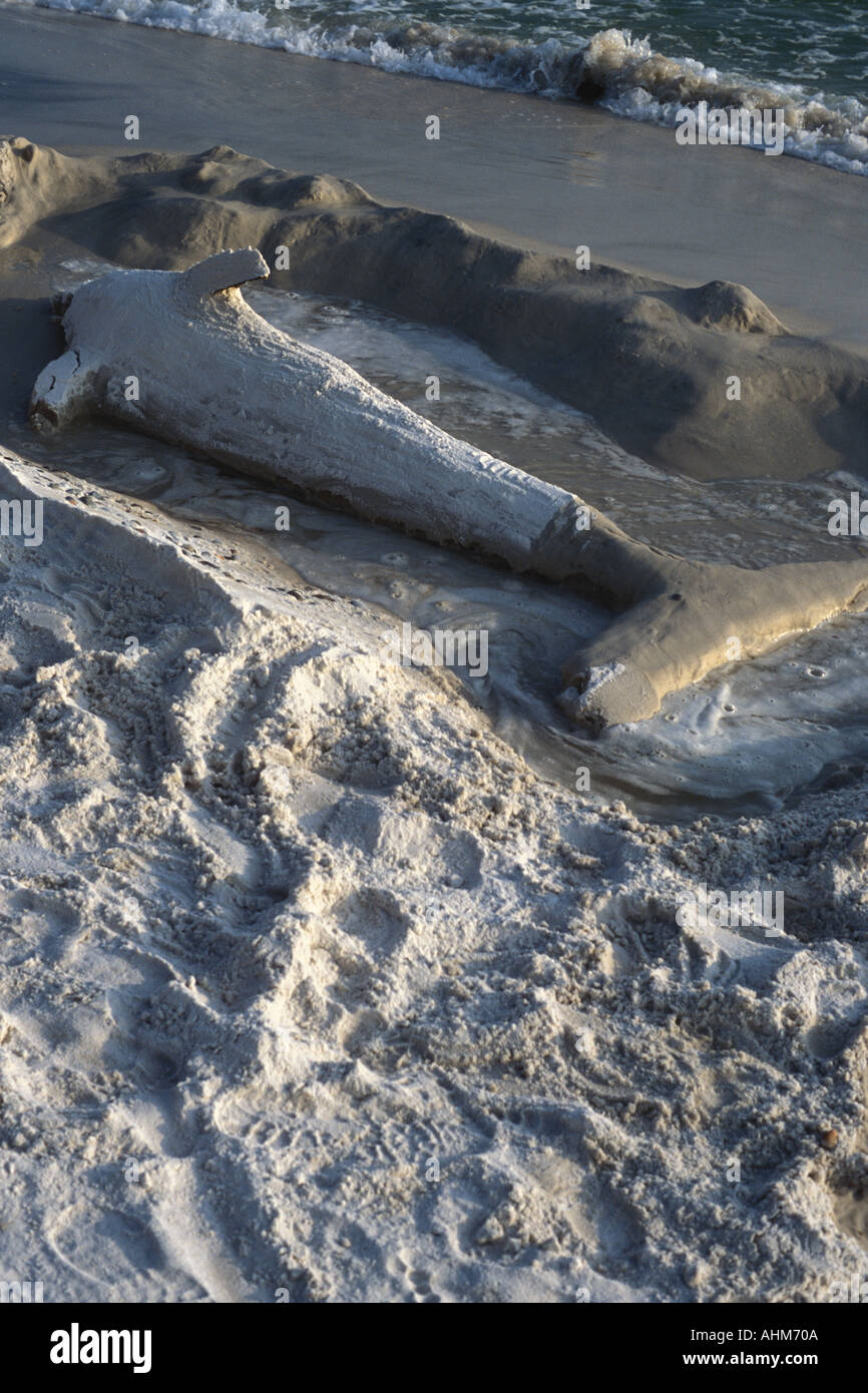 Shark Sand Sculpture on Beach Stock Photo - Alamy