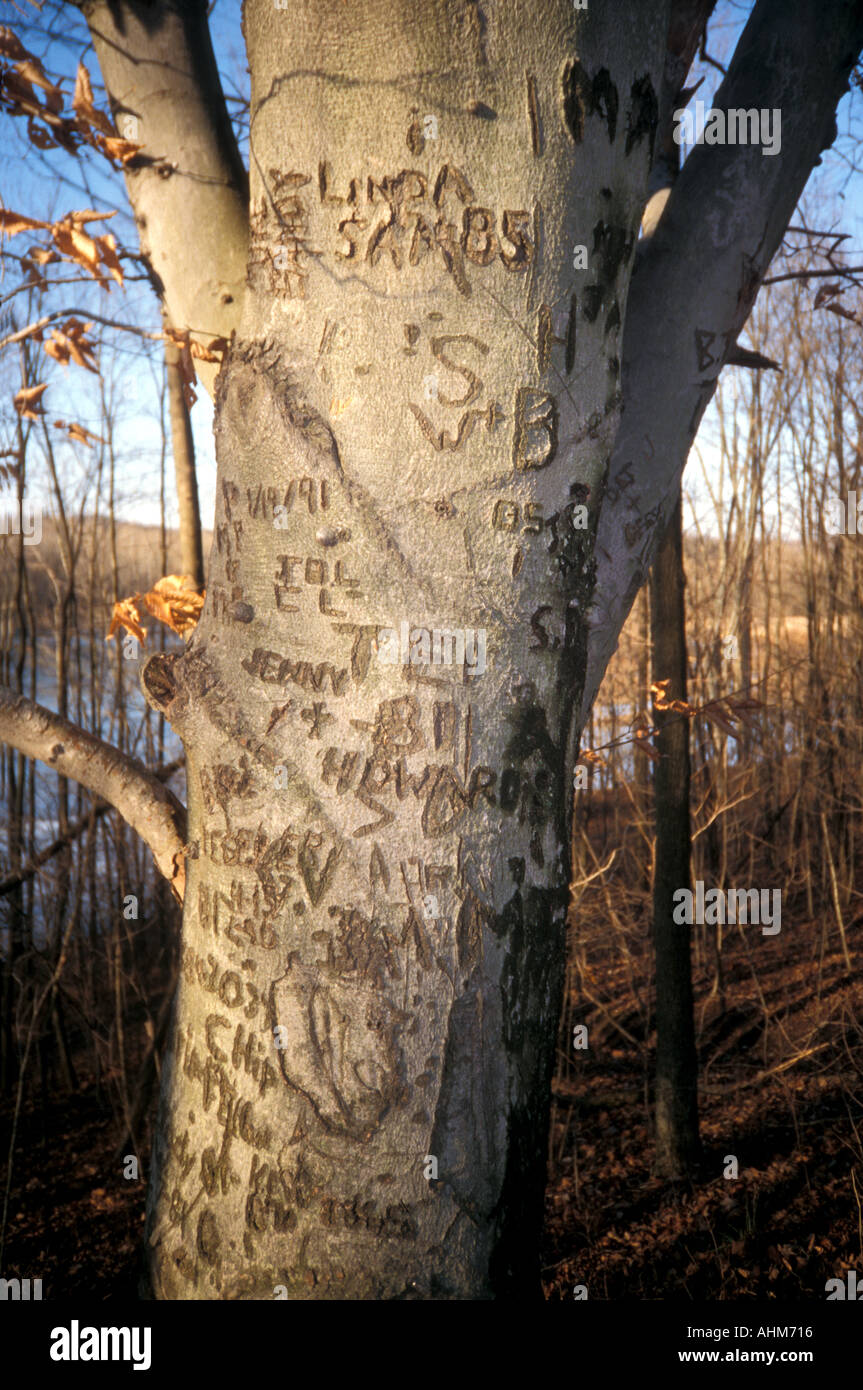 Deep ecosystem flora outside outdoors daytime daylight hi-res stock ...