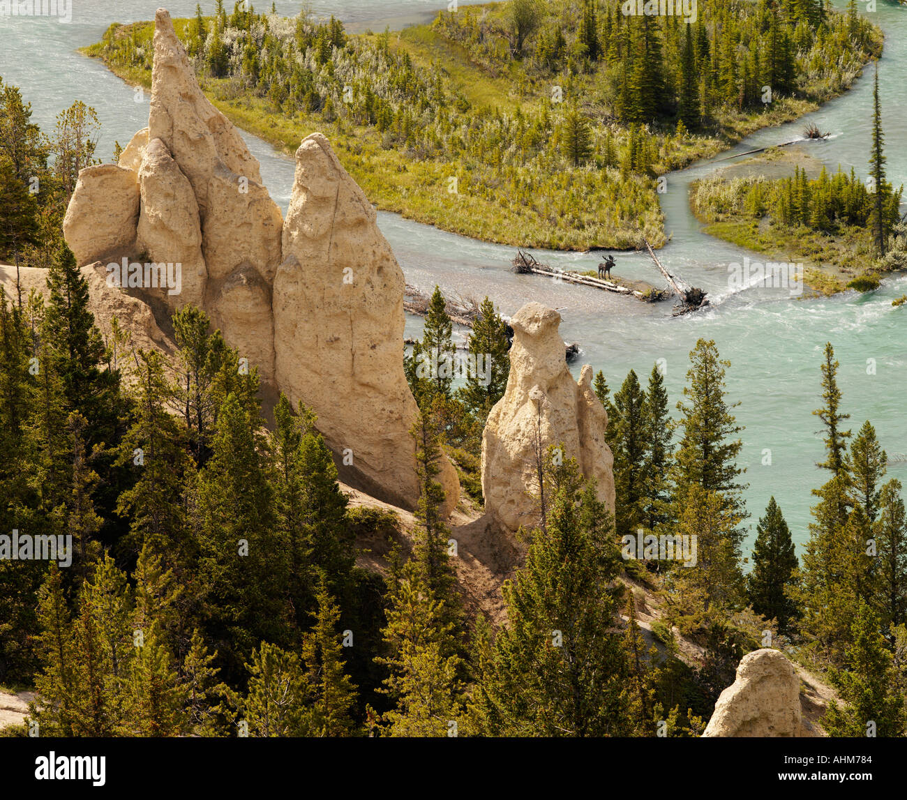 Natural rock formations called Hoodoos in Banff National park in ...