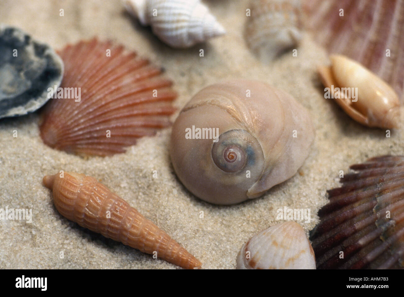 Resilient ecosystem hi-res stock photography and images - Alamy