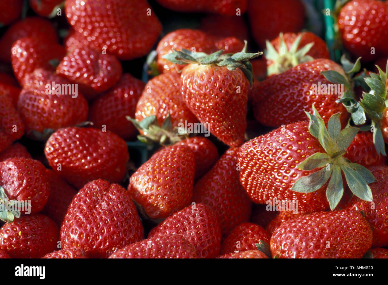 Side view pile ripe strawberries hi-res stock photography and images ...