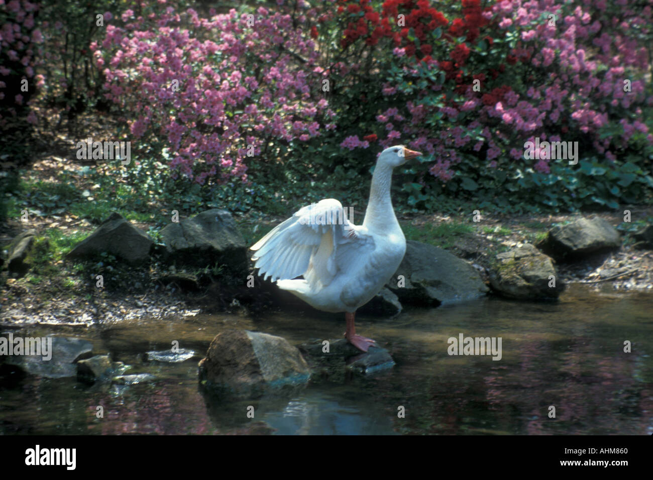 Attempt try power strength hi-res stock photography and images - Alamy