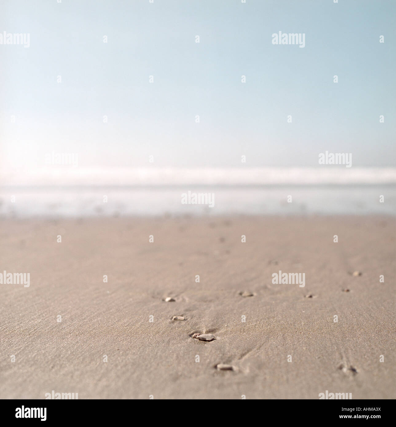 ethereal beach scene Stock Photo - Alamy