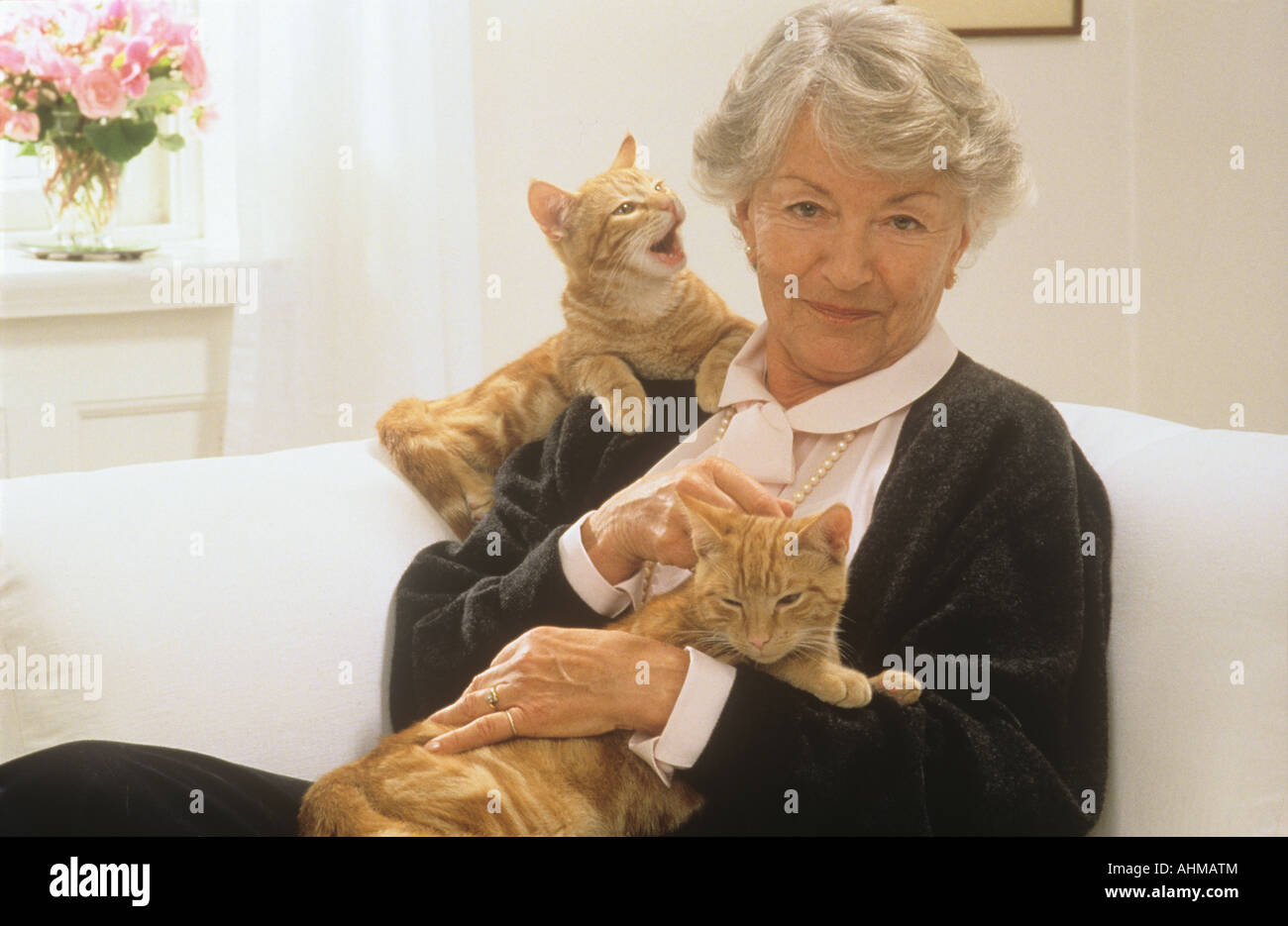 woman with two domestic cats Stock Photo - Alamy