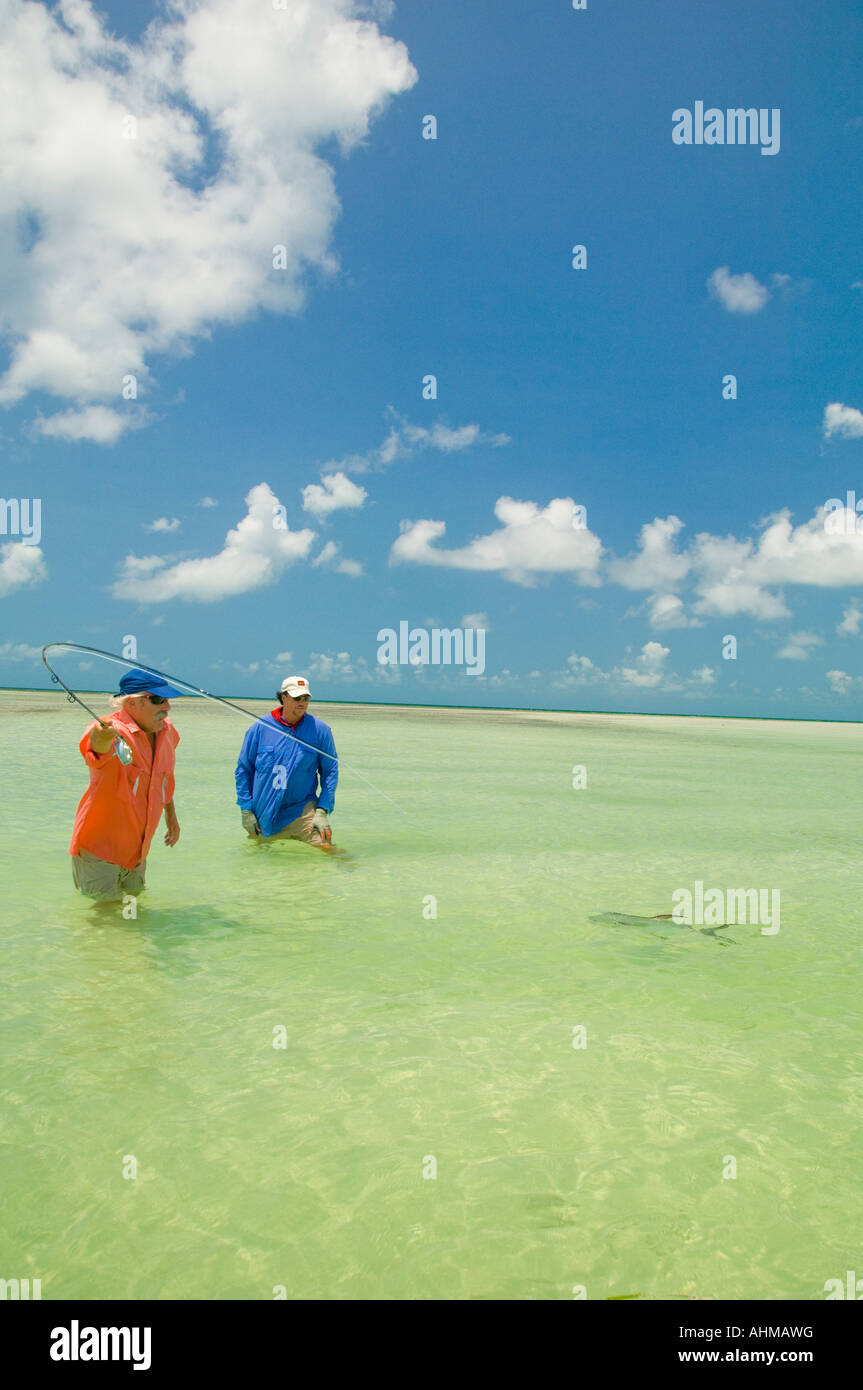 Permit to fly hi-res stock photography and images - Alamy