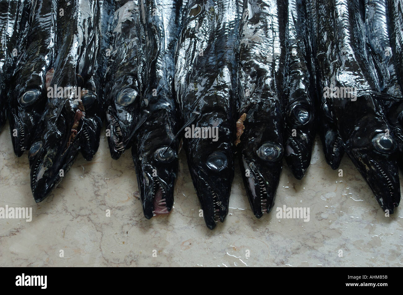 Black scabbard hi-res stock photography and images - Alamy