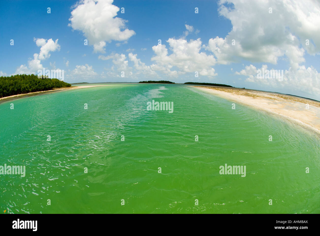 Florida Keys Beautiful landscape view of the Mangroves and the emerald ...