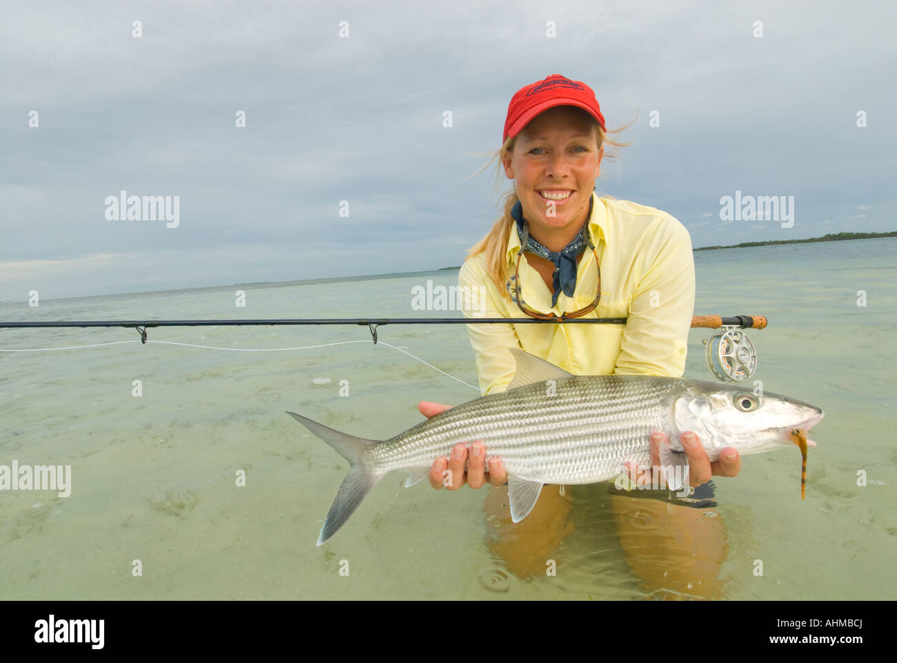Florida Keys Happy woman fisherman landing and releasing bonefish while ...