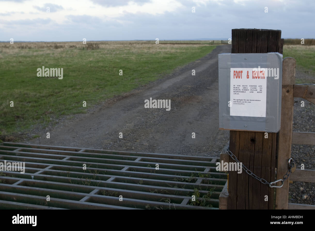 Foot and Mouth sign on gate post with cattle grid UK summer Stock Photo ...
