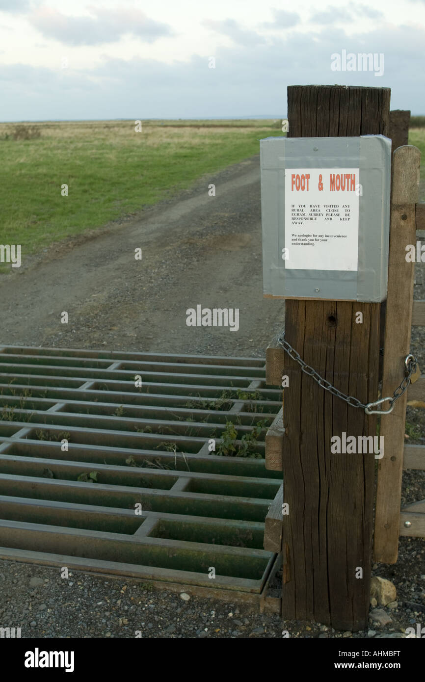 Foot and Mouth sign on gate post with cattle grid UK summer Stock Photo ...